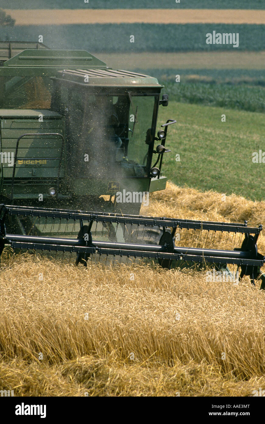 COMBINING WHEAT IDAHO Stock Photo - Alamy