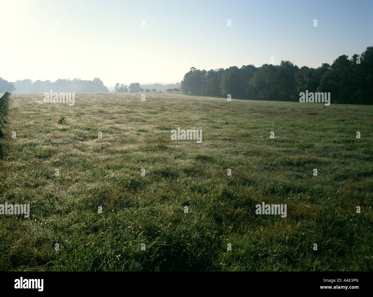 Georgia united states activities hi-res stock photography and images ...