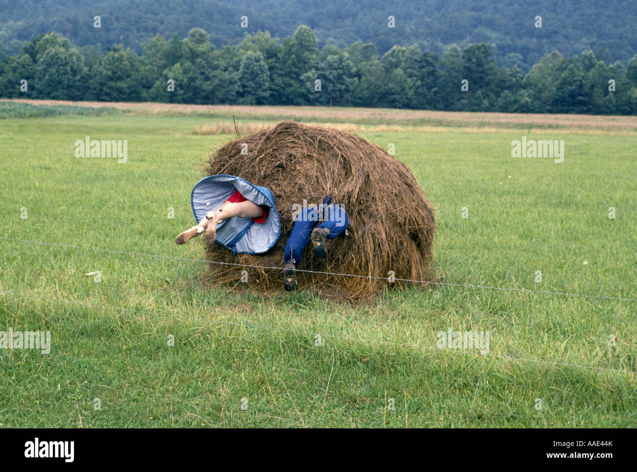 Body farm tennessee hi-res stock photography and images - Alamy
