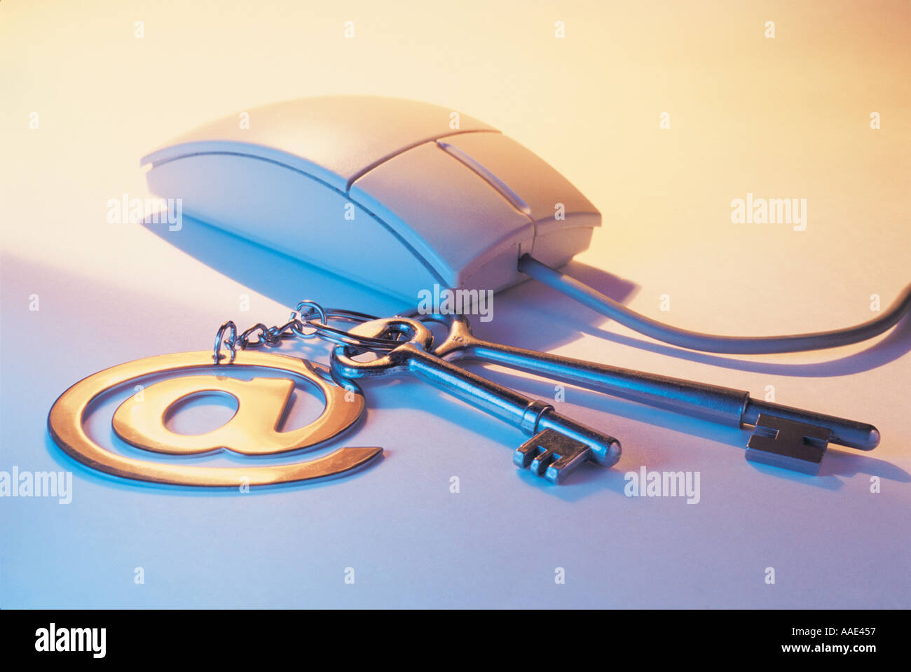 Computer Mouse and Keys with Internet Symbol Key Ring Stock Photo - Alamy