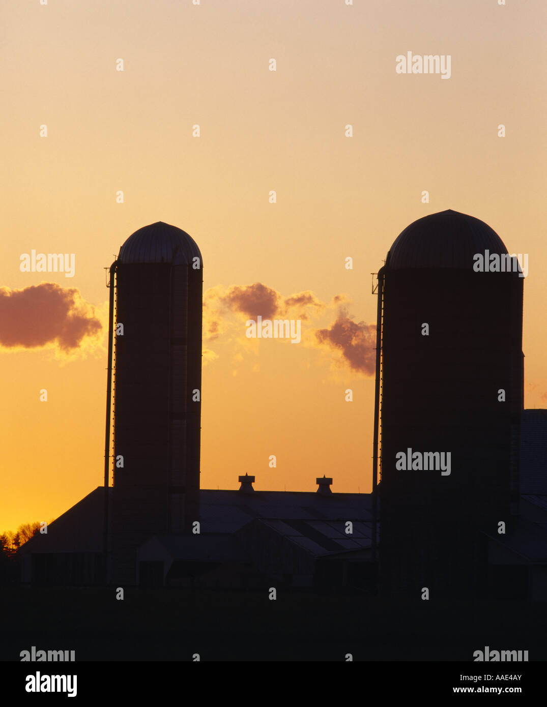 SUNSET AT DAIRY FARM LANCASTER COUNTY PENNSYLVANIA Stock Photo - Alamy