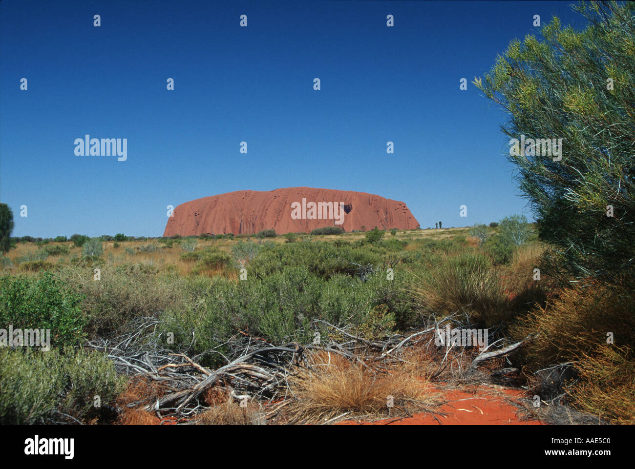 Ayers Rock Uluru in outback Australia Stock Photo - Alamy
