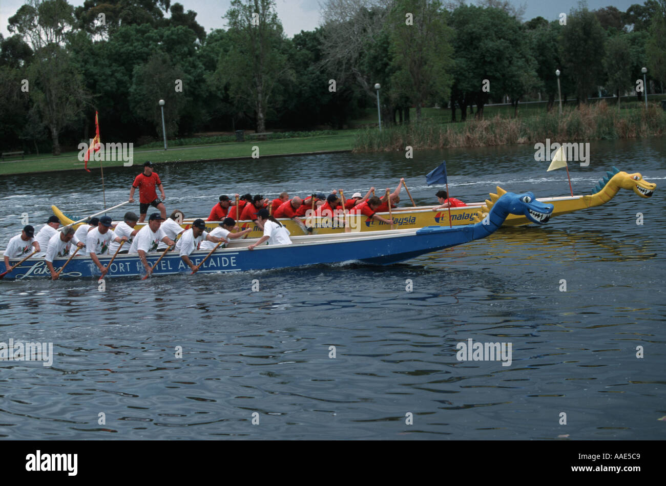 Dragon Boat racingon the Torrens River in Adelaide Australia Stock ...