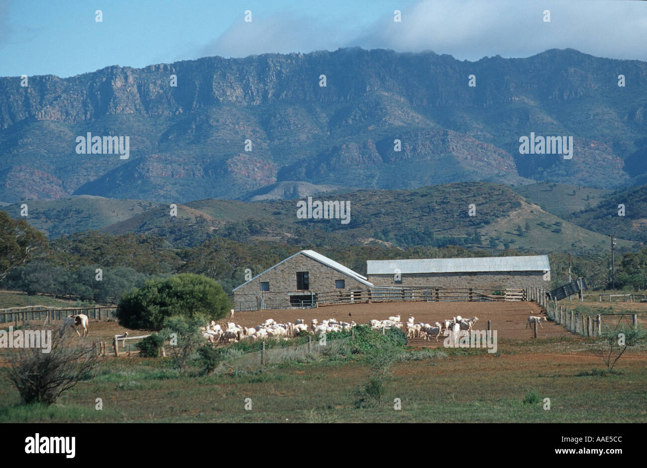 Arkaba Station High Resolution Stock Photography and Images - Alamy