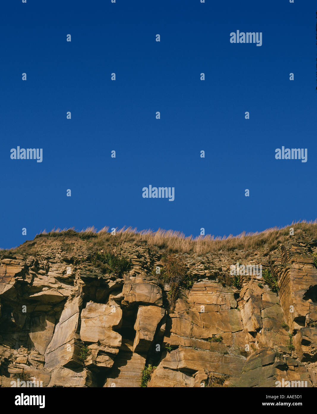 CLIFF FACE AND GRASS WITH BLUE SKY Stock Photo - Alamy