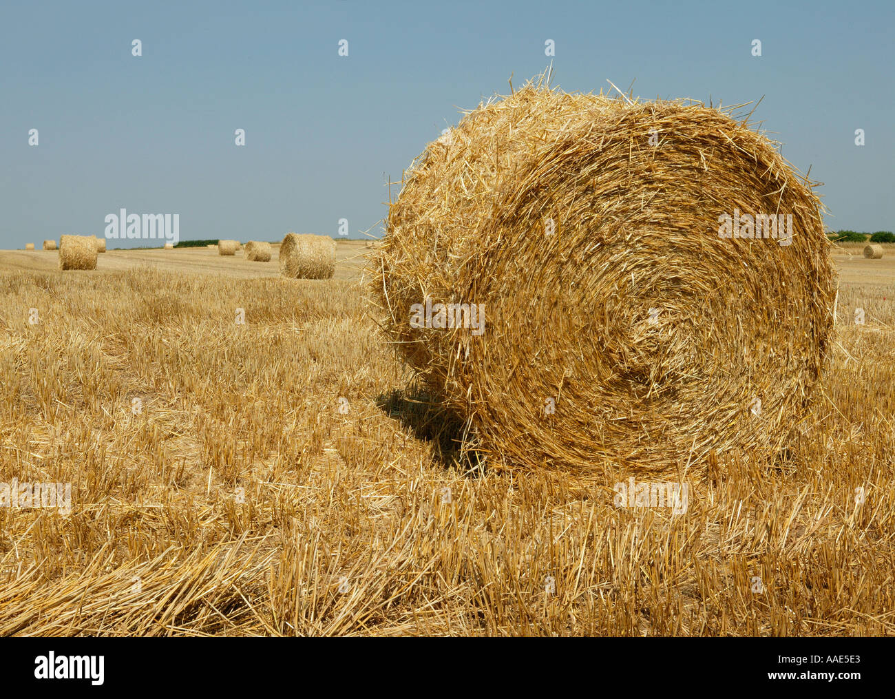 Straw in bales hi-res stock photography and images - Alamy