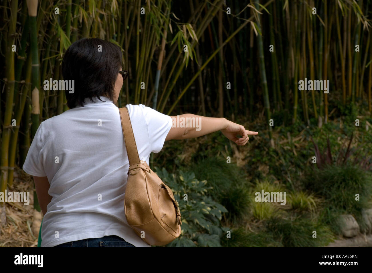 A woman pointing to something amusing in the park Stock Photo - Alamy