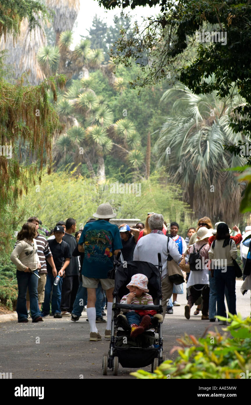 Baby left alone in stroller hi-res stock photography and images - Alamy