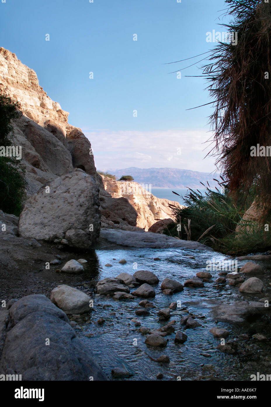 View from park Ein Gedi 1 Stock Photo - Alamy