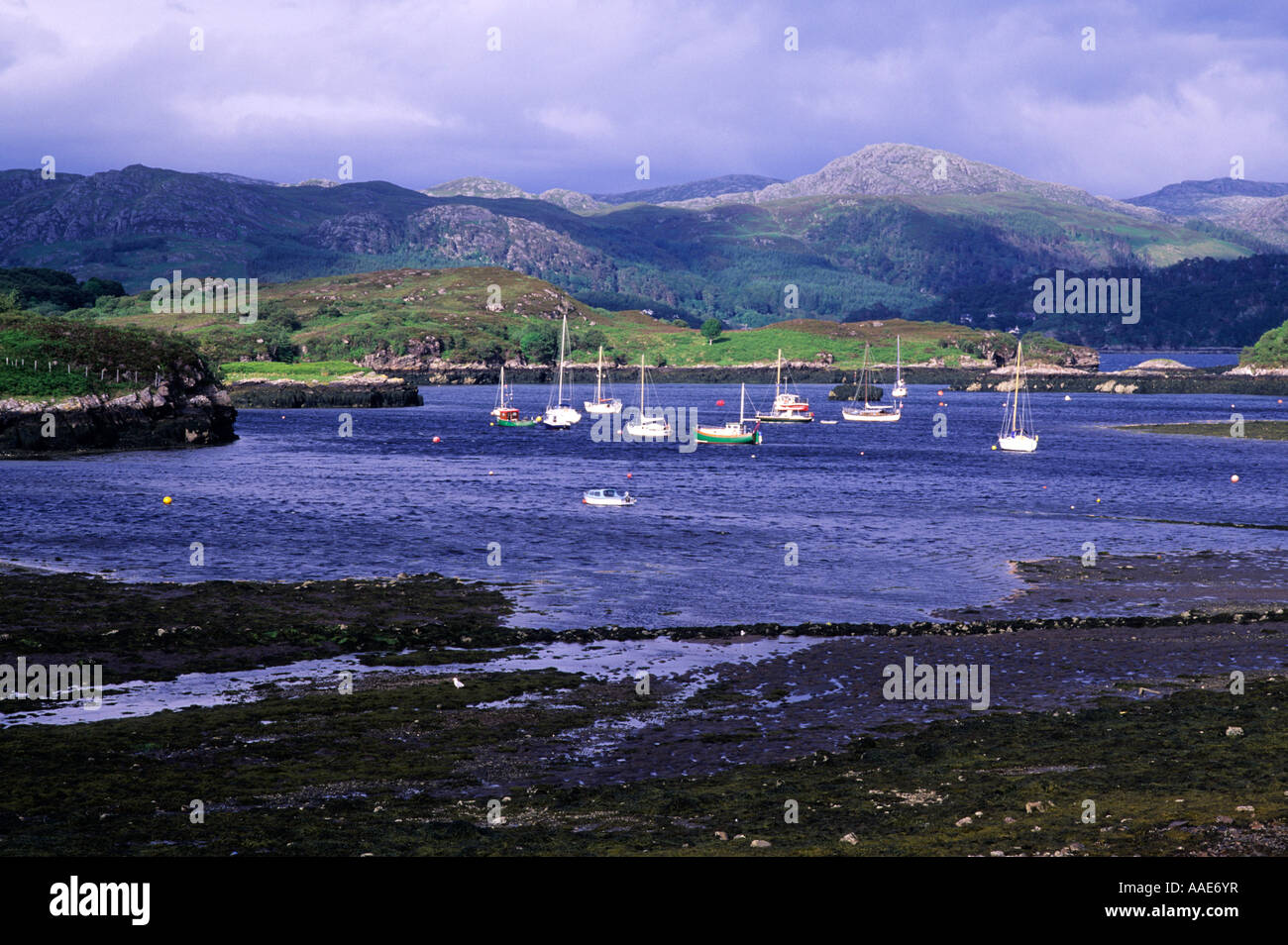Badachro Harbour, Loch Gairloch, Wester Ross, west, western Scotland ...