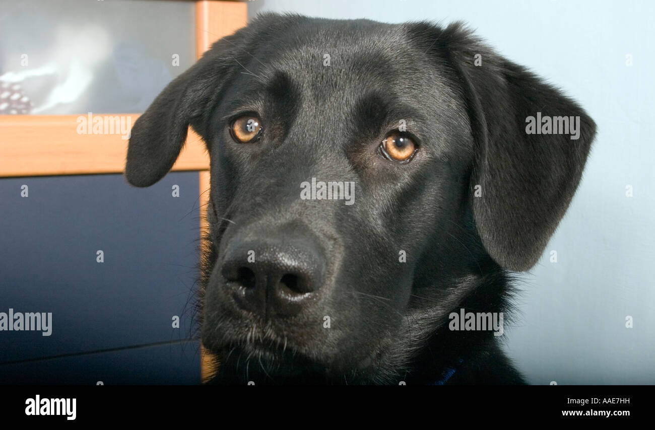 Andobr931d hi-res stock photography and images - Alamy