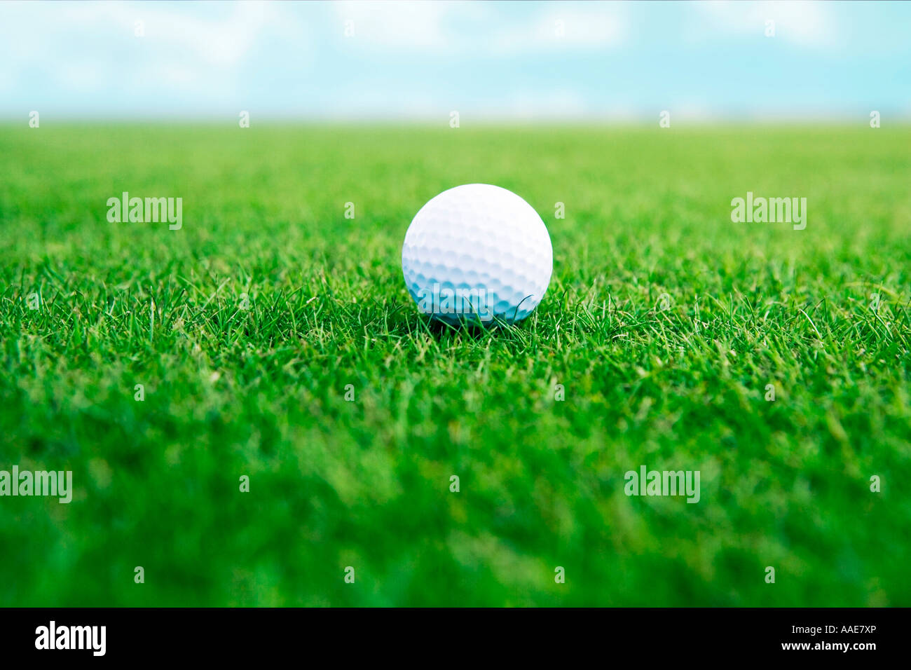 Golf ball shot on the green Stock Photo - Alamy
