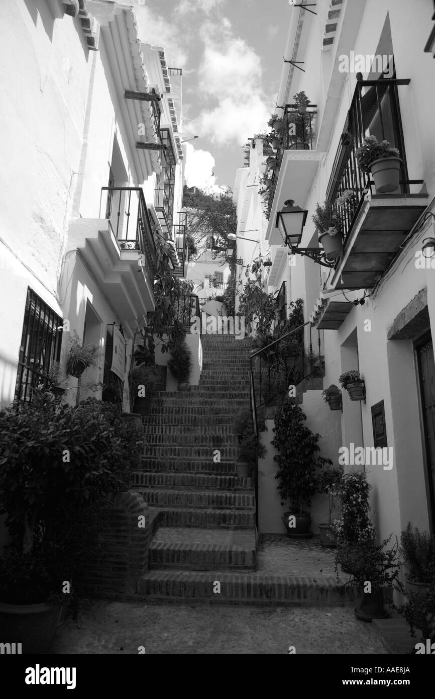 Suburbs Vertical Black and White Stock Photos & Images - Alamy