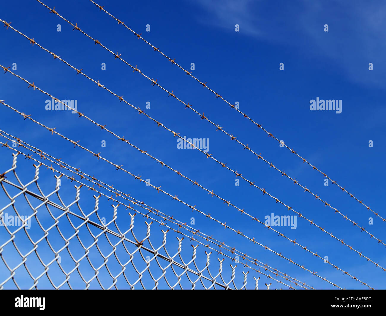 barb wire security fence Stock Photo - Alamy