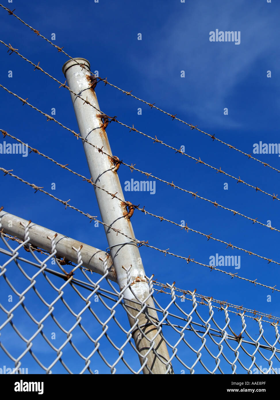 barb wire security fence Stock Photo - Alamy