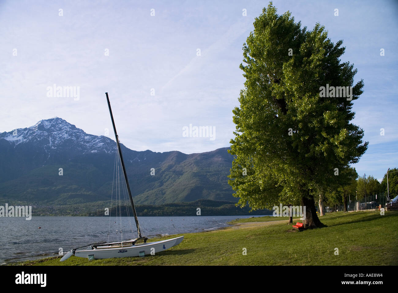 sail boat and tree along the coast of Domaso, lake Como, Italy Stock ...