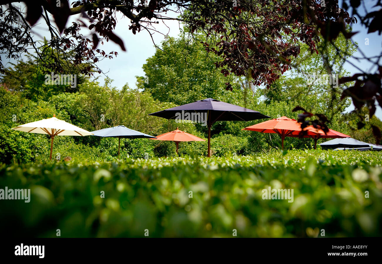 Parasols in summer surrounded by green foliage Stock Photo - Alamy