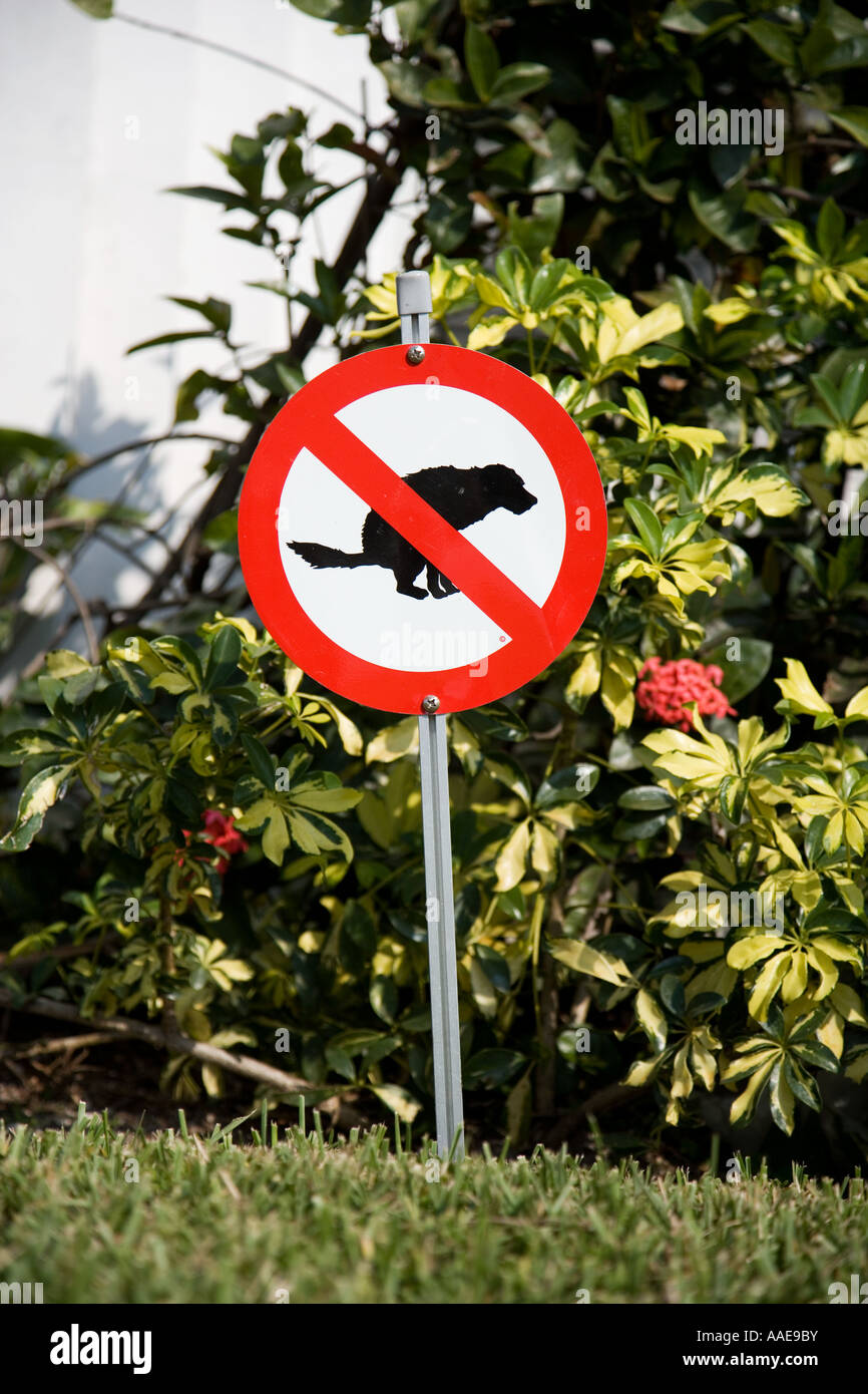 Forbidden sign for dog Miami Beach Florida Usa Stock Photo - Alamy