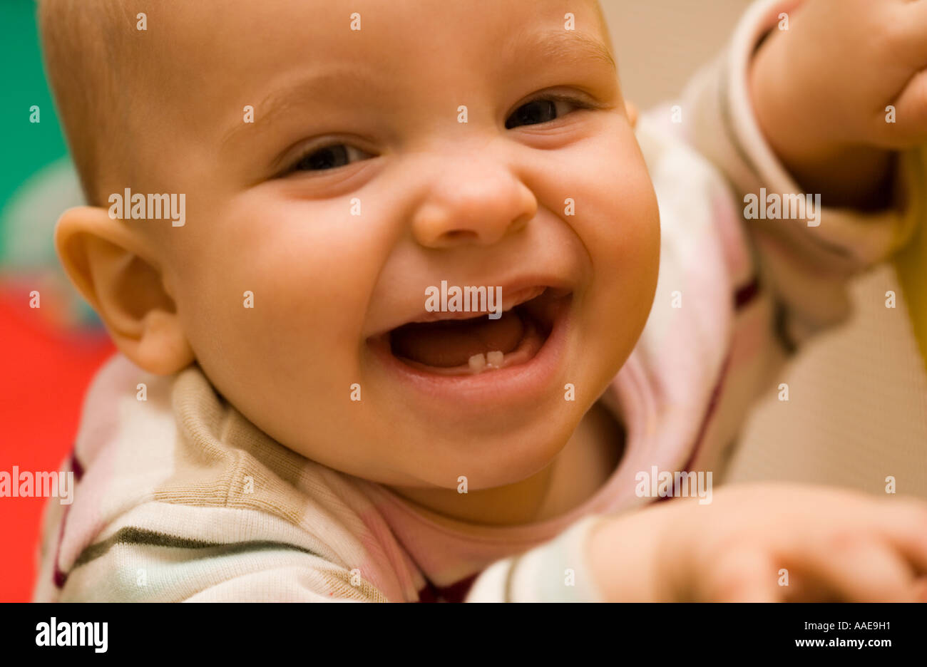 Bottom teeth hi-res stock photography and images - Alamy