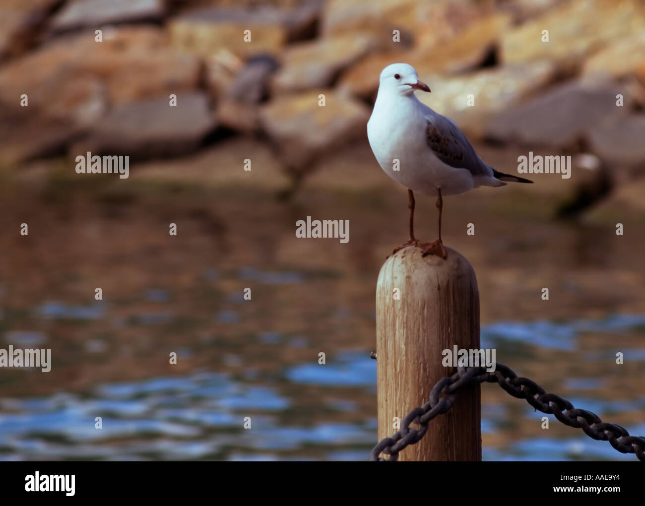 Concave beach hi-res stock photography and images - Alamy