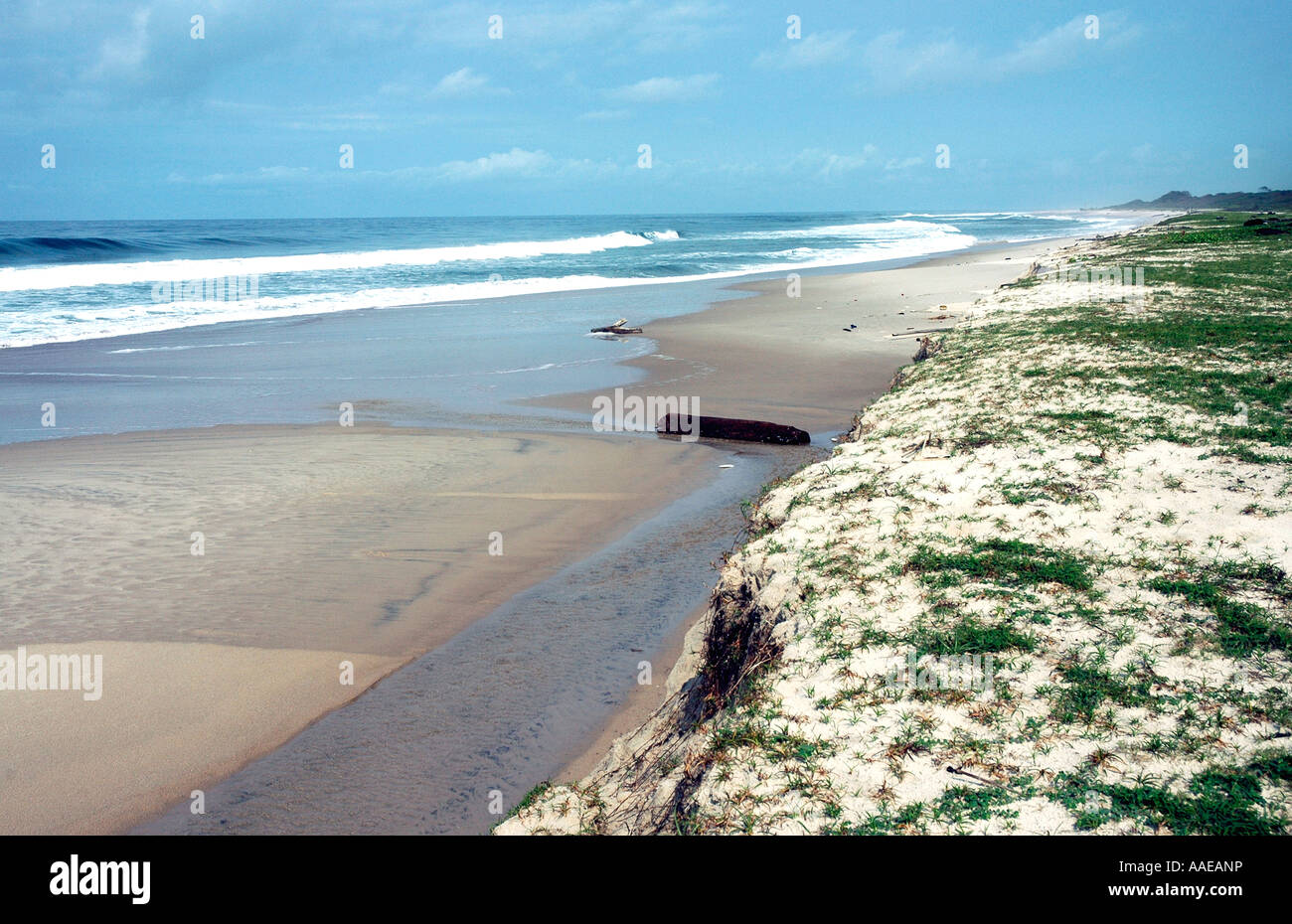 The long sandy beach, along with forest and savannah, is a lovely ...