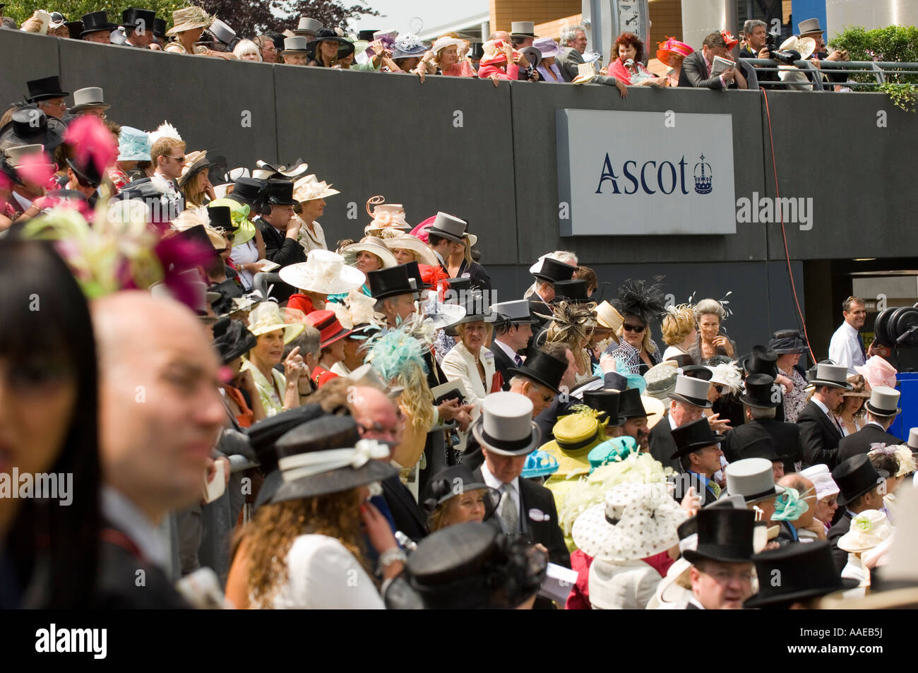 Ascot royal enclosure hi-res stock photography and images - Alamy