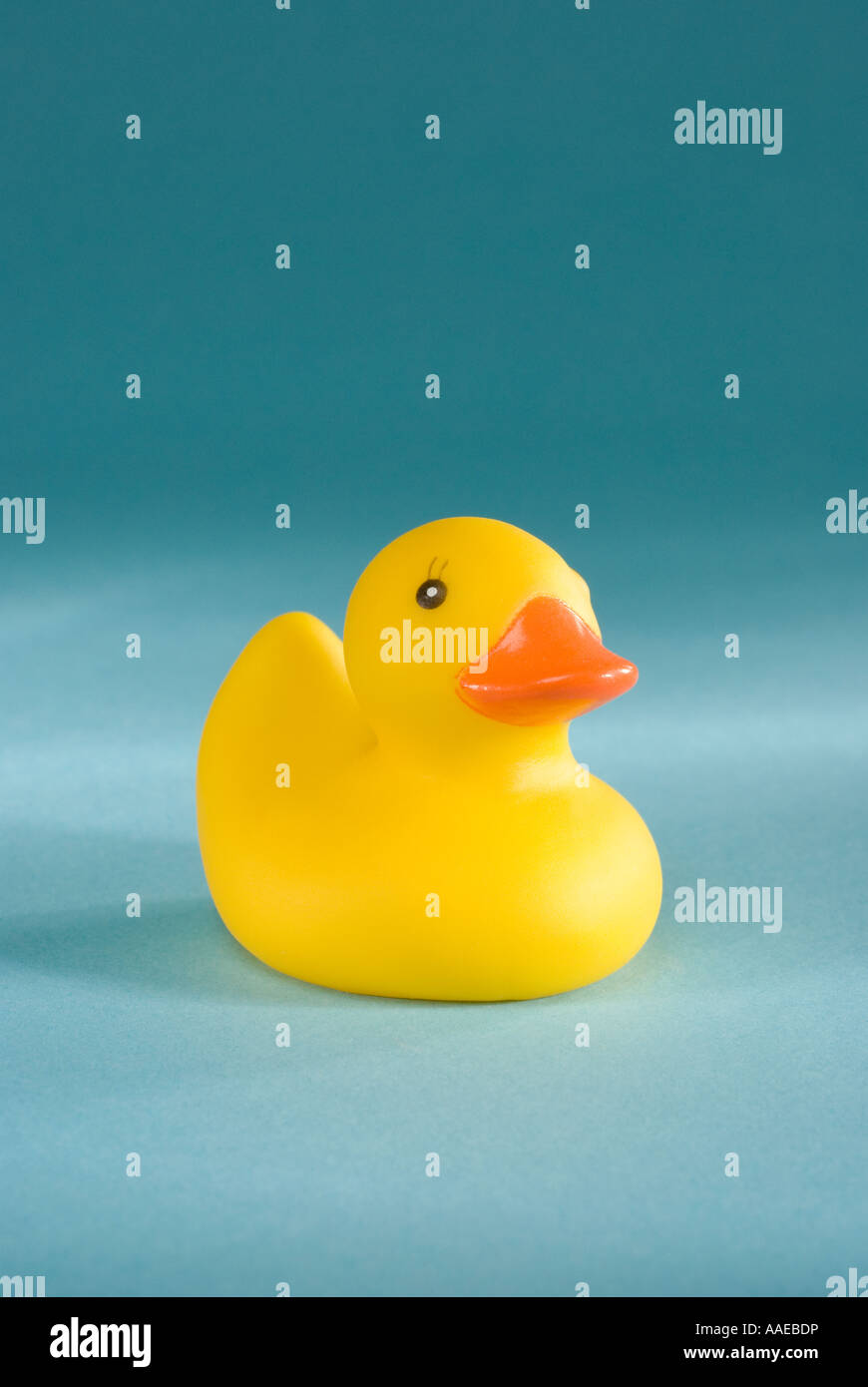 a rubber duck on an aqua blue background Stock Photo - Alamy
