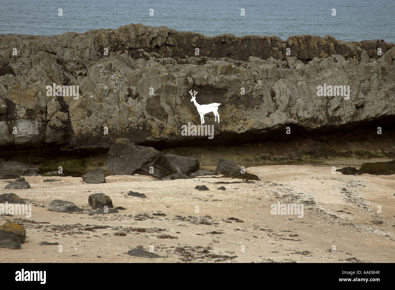 Painted stag hi-res stock photography and images - Alamy