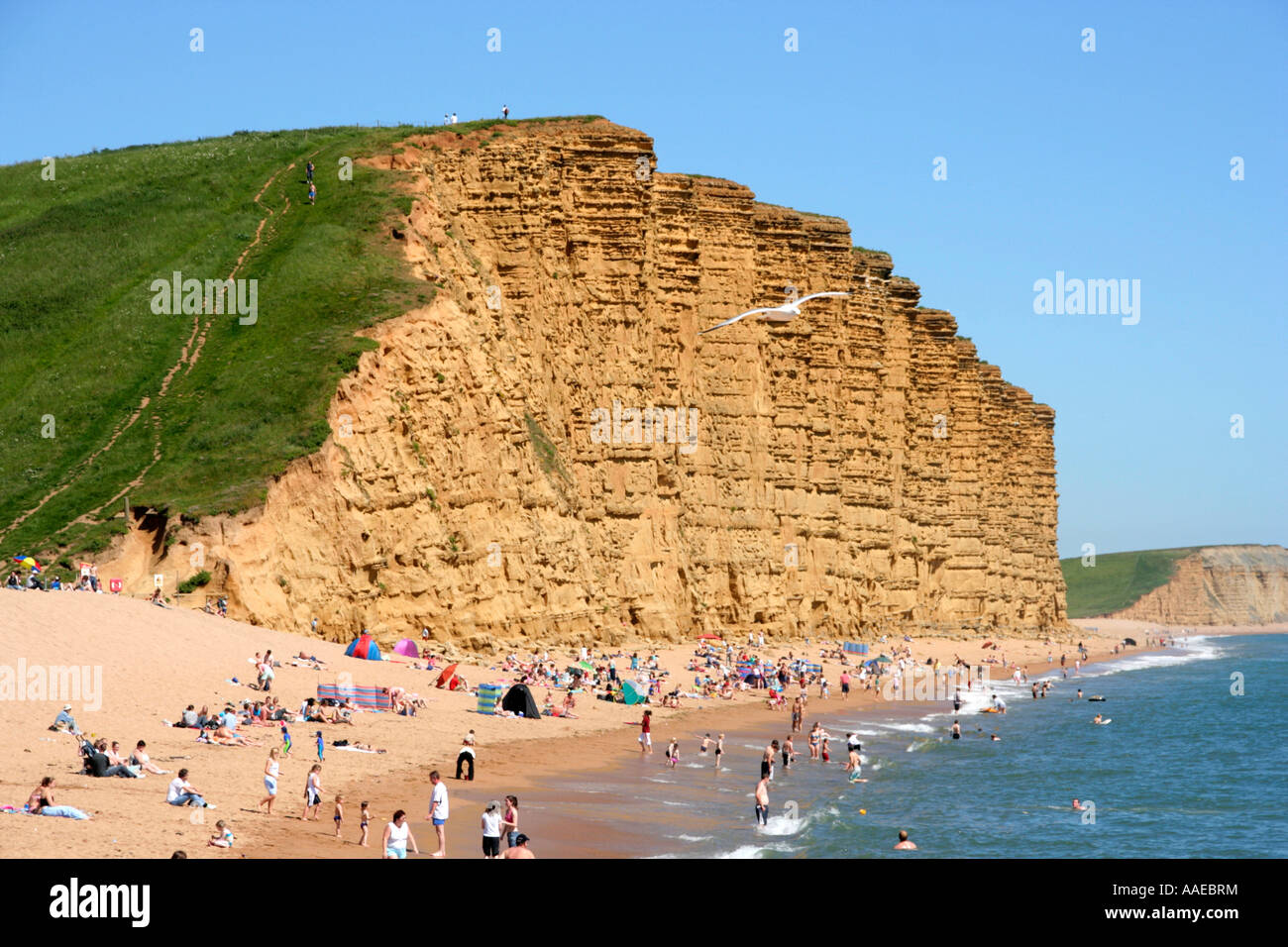 holidaymakers crowded beach west bay east sandstone cliff dorset ...