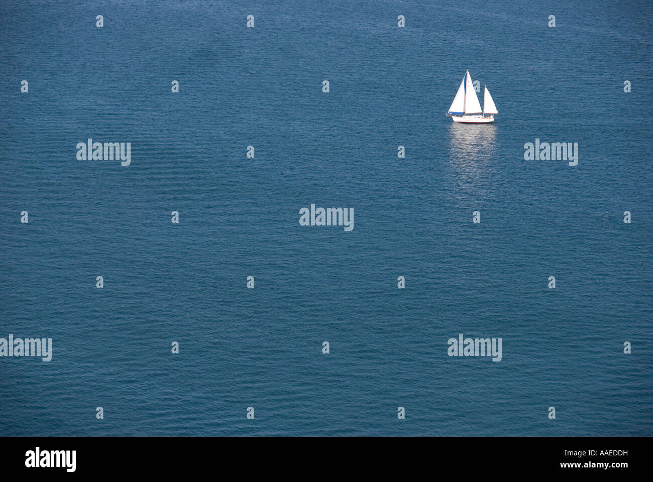 Single White Sail Boat In A Vast Wide Open Calm Ocean Stock Photo Alamy single-white-sail-boat-in-a-vast-wide-open-calm-ocean-stock-photo-alamy