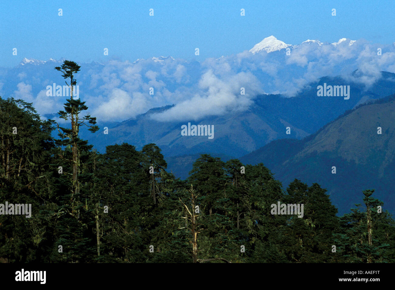 7314 hi-res stock photography and images - Alamy