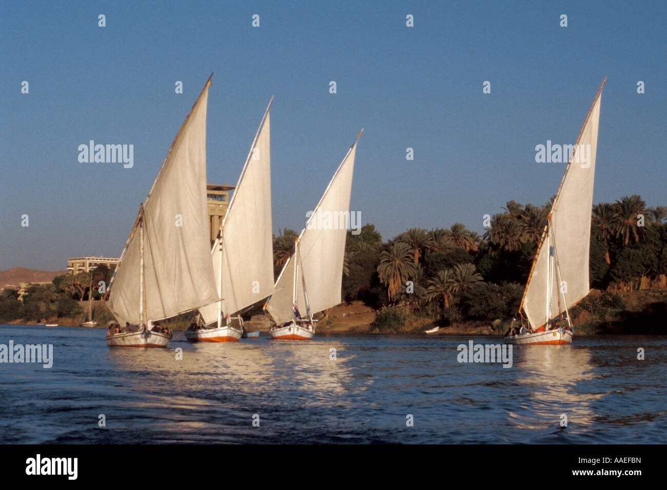 Feluccas on the Blue Nile at Amun Island, Aswan, Egypt Stock Photo - Alamy