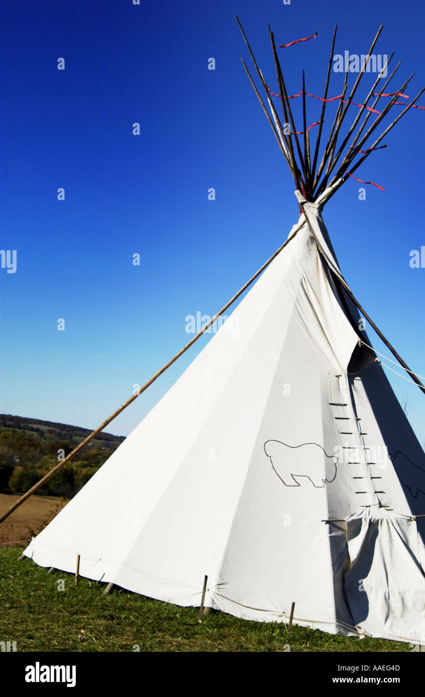 White comanche hi-res stock photography and images - Alamy