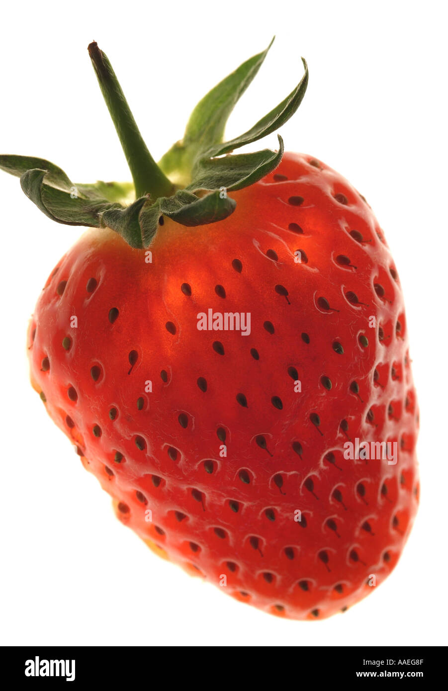 Strawberry with the stalk hi-res stock photography and images - Alamy