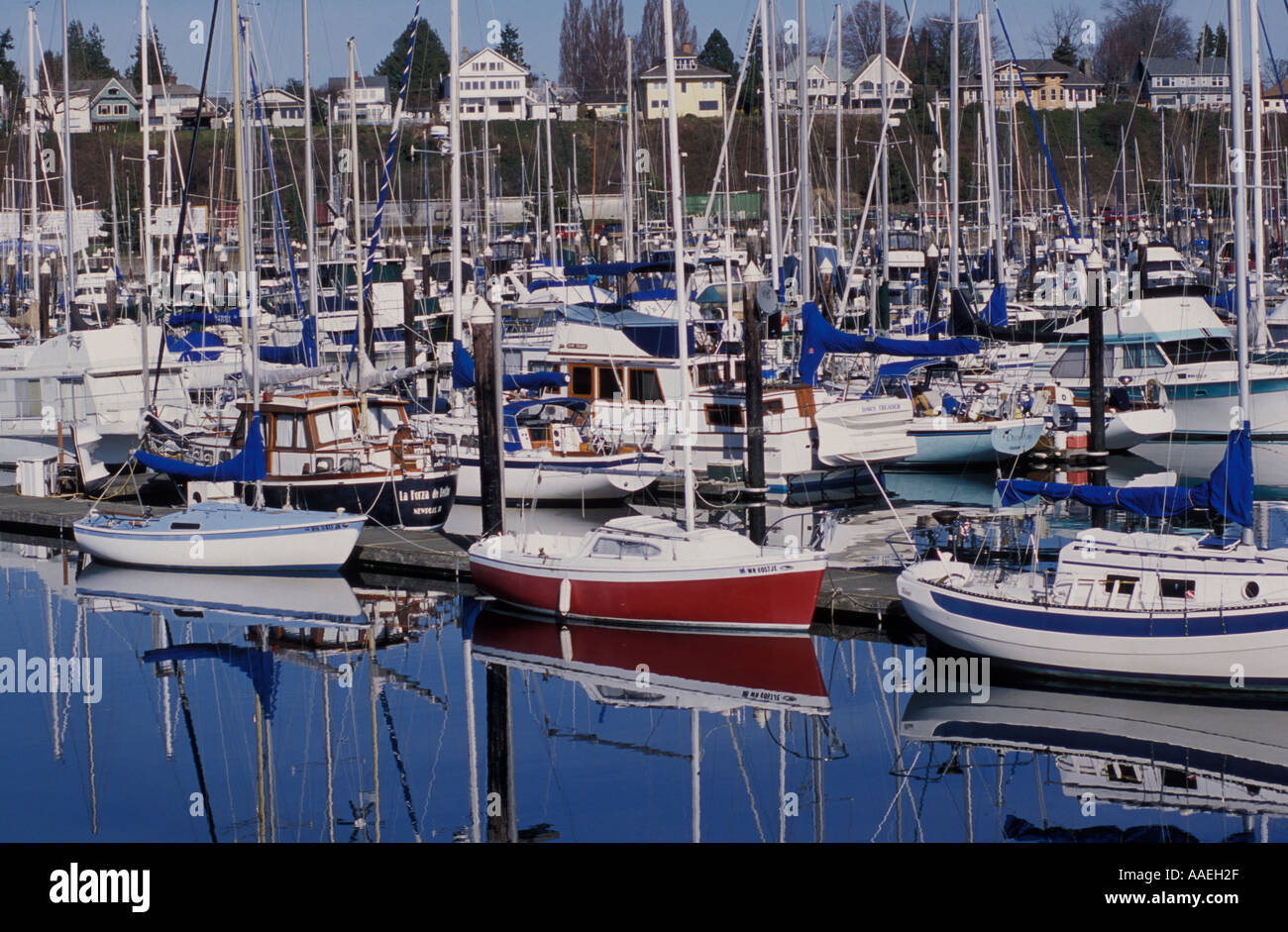 Boats in Squalicum Harbor Bellingham Washington Stock Photo - Alamy