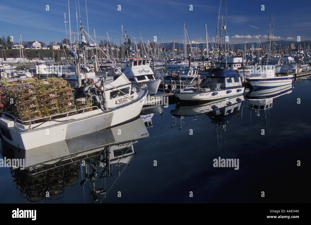 Boats in Squalicum Harbor Bellingham Washington Stock Photo - Alamy