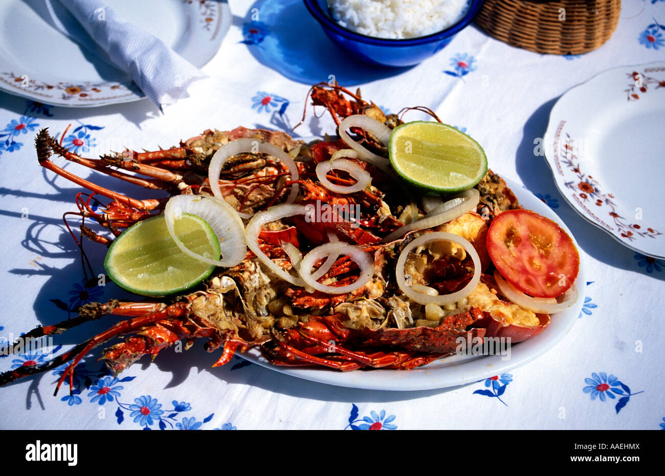 Lobster dish at beach restaurant Praia do Forte bahia Brazil Stock ...