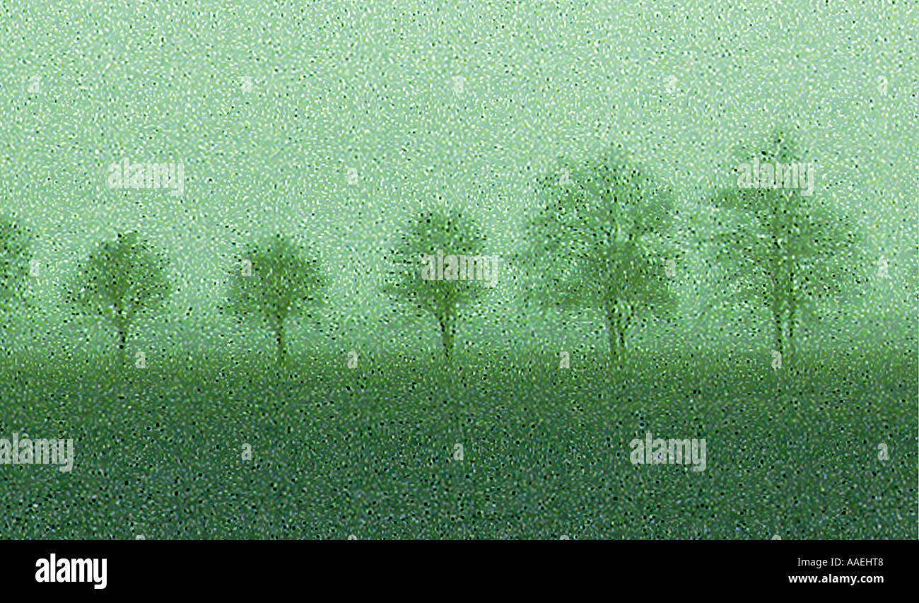 trees in a row Stock Photo - Alamy