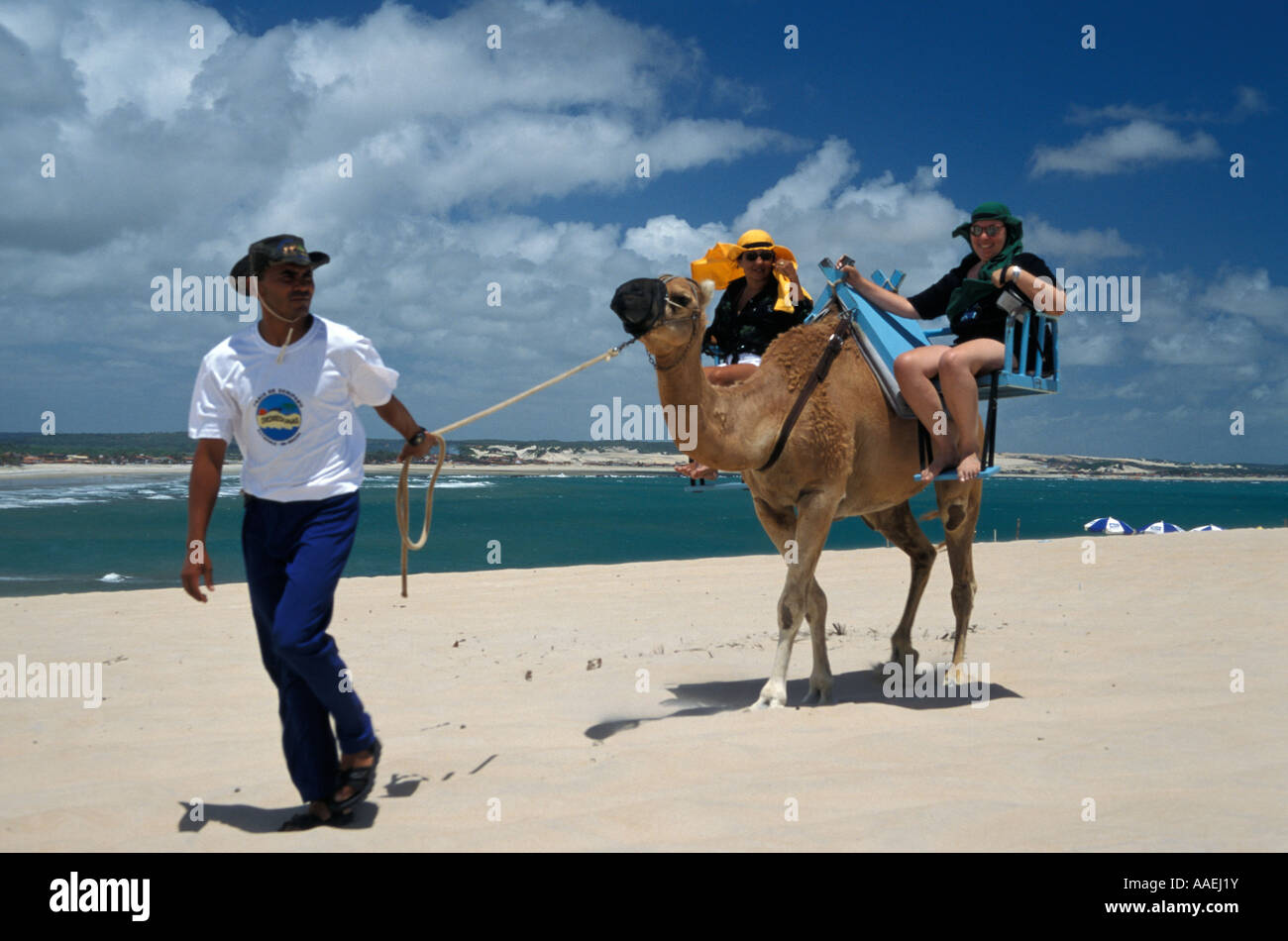 Brazilian Camel
