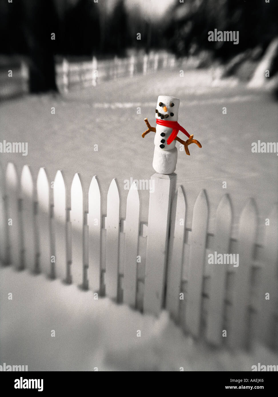 Black picket fence on hi-res stock photography and images - Alamy