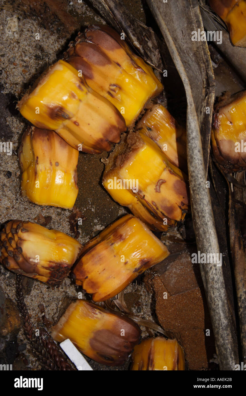 Flies on rotting fruit hi-res stock photography and images - Alamy
