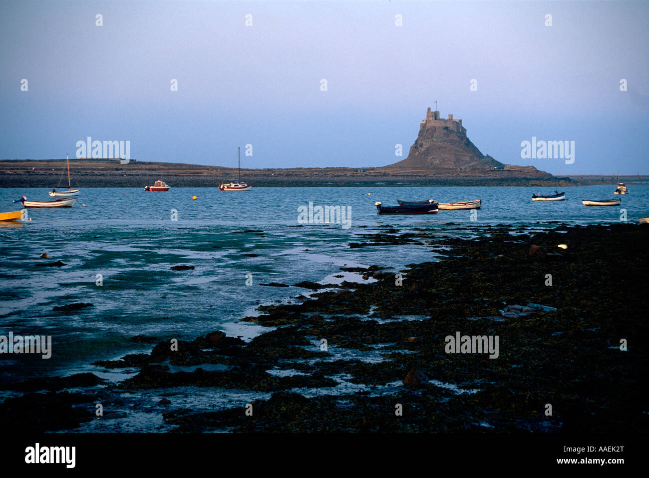 Viking raids holy island hi-res stock photography and images - Alamy