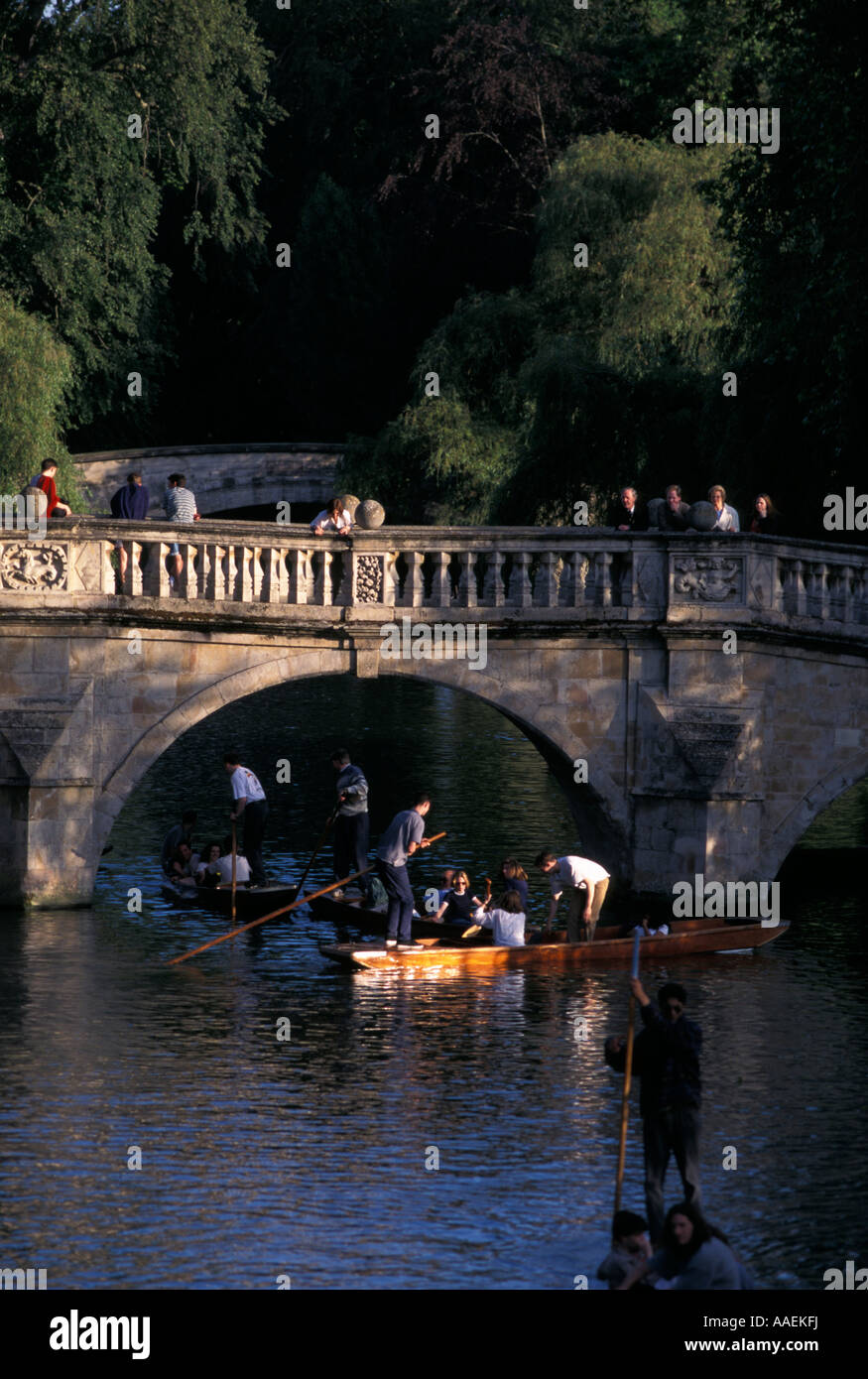 Punts on River Cam Cambridge Cambridgeshire England United Kingdom ...