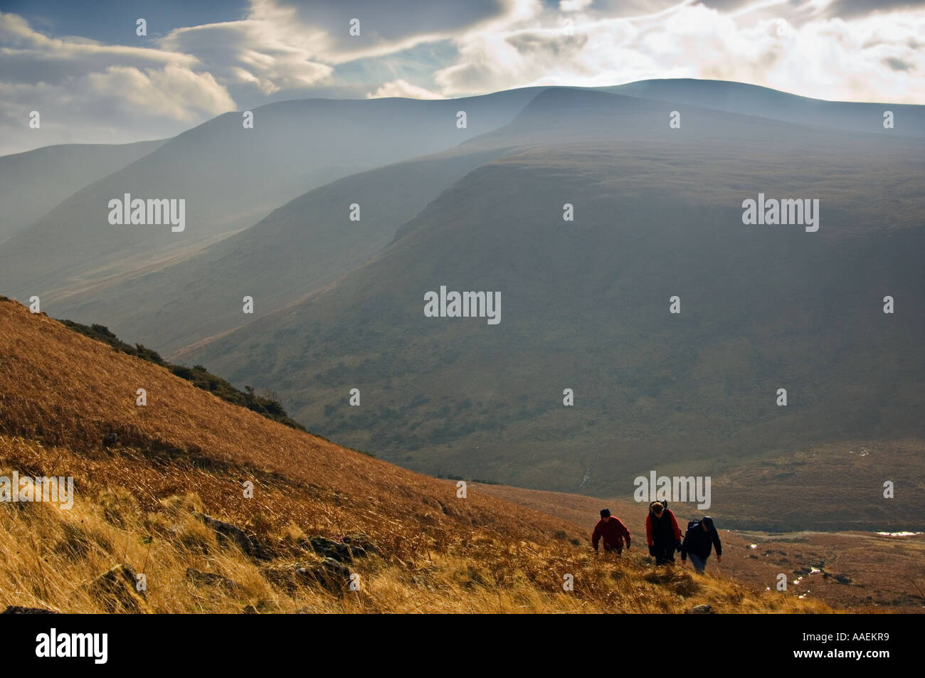 Carrock hi-res stock photography and images - Alamy