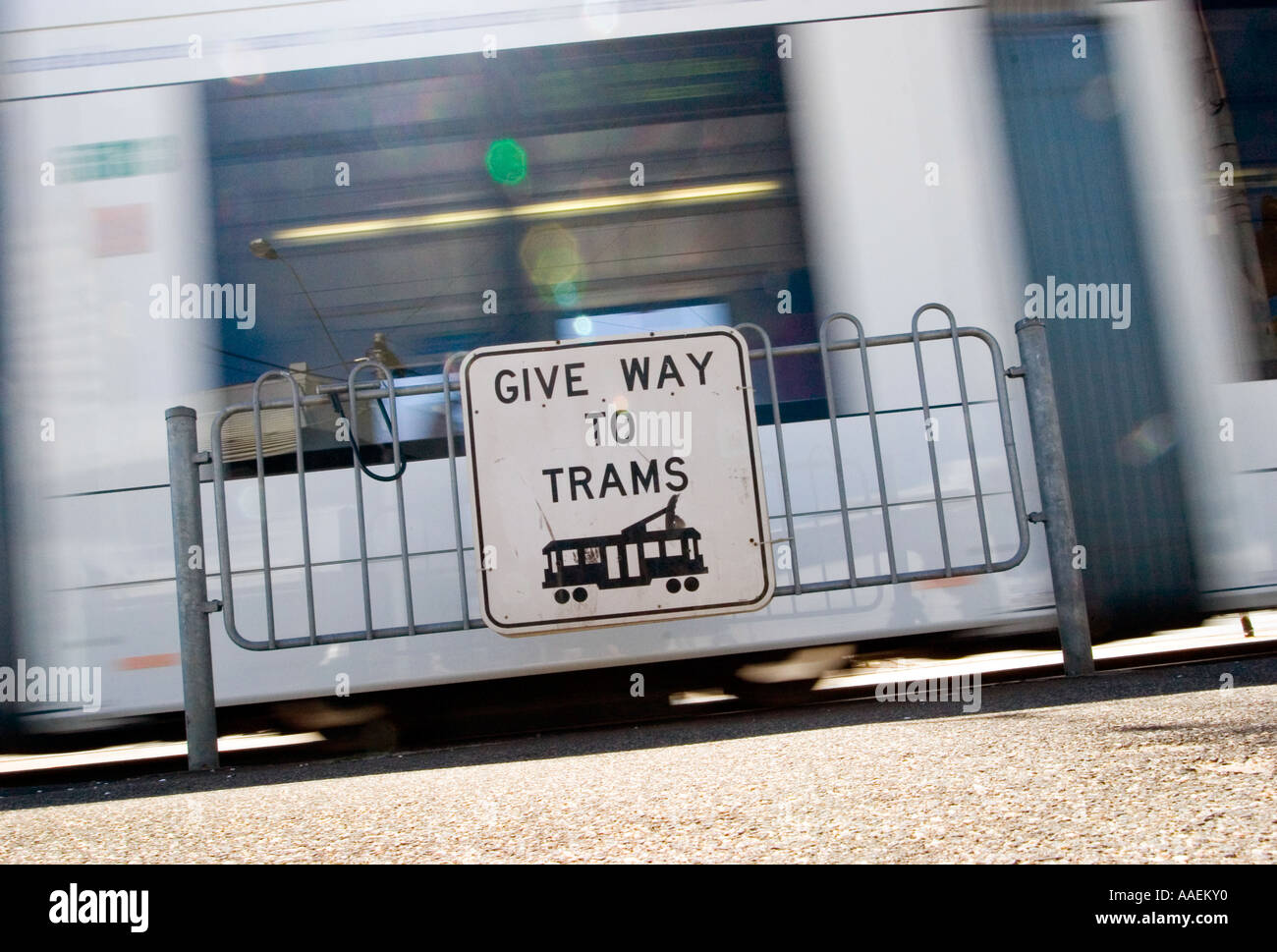 Give way to Trams sign Tram passing Melbourne Australia Stock Photo - Alamy