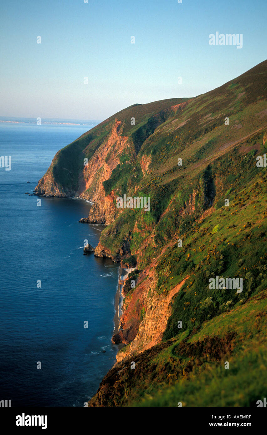 Cliff line North Devon Devon England United Kingdom Stock Photo - Alamy