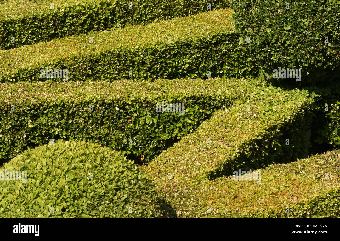 Leaf shaped box hi-res stock photography and images - Alamy