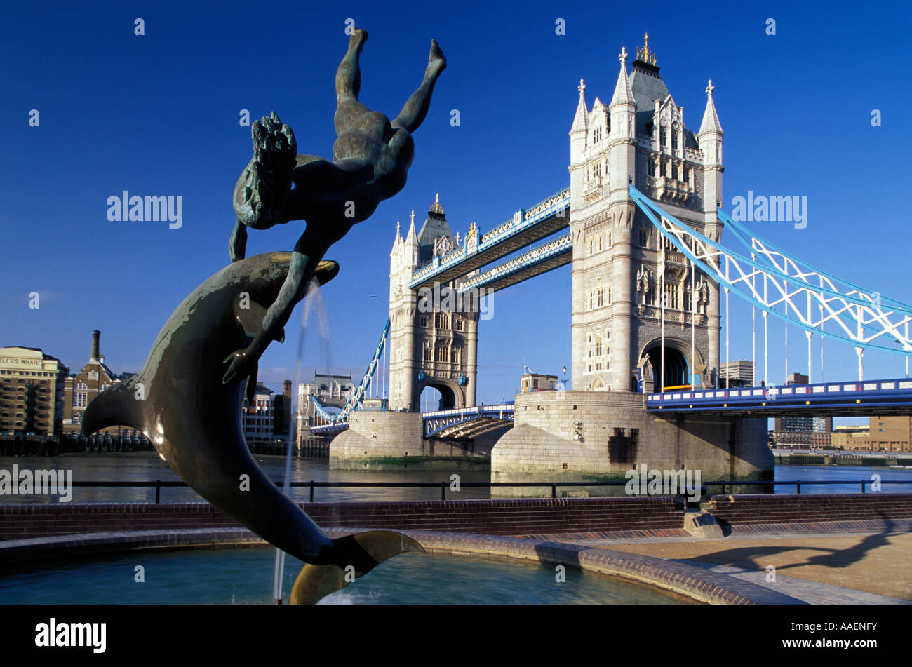Dolphin mermaid tower bridge london hi-res stock photography and images ...