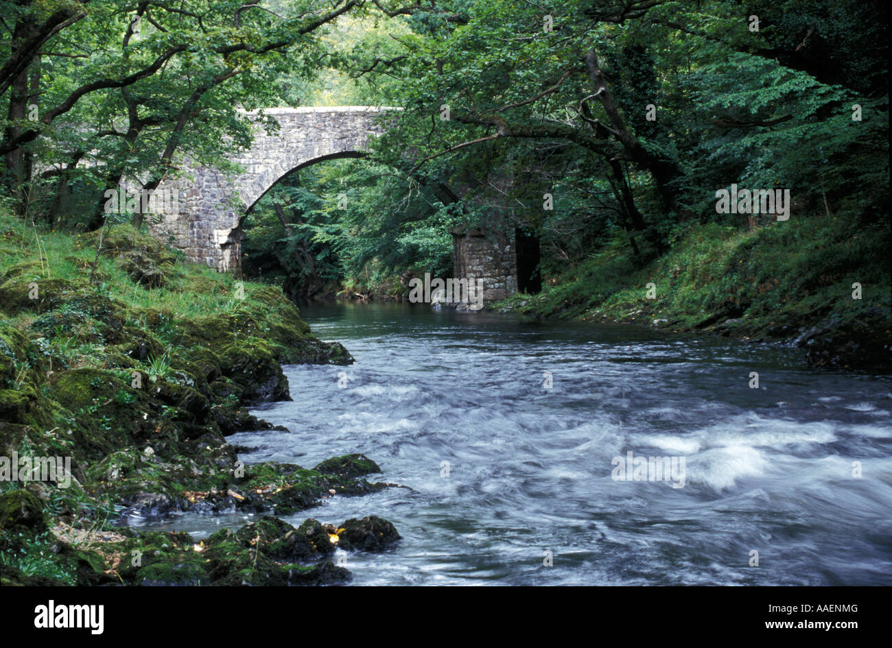 Capital city devon england uk hi-res stock photography and images - Alamy