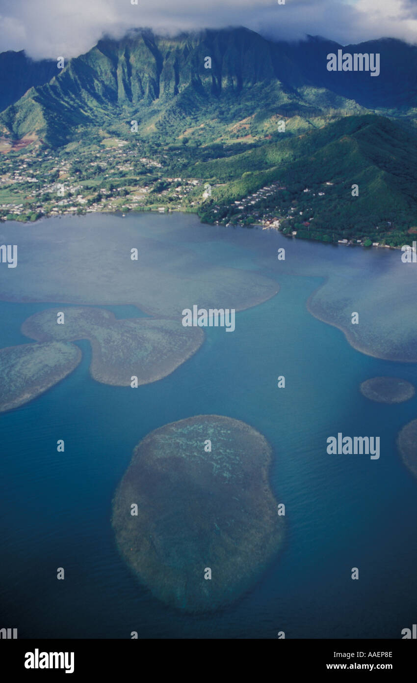 Coral reefs in Kaneohe Bay Oahu Hawaii Stock Photo - Alamy